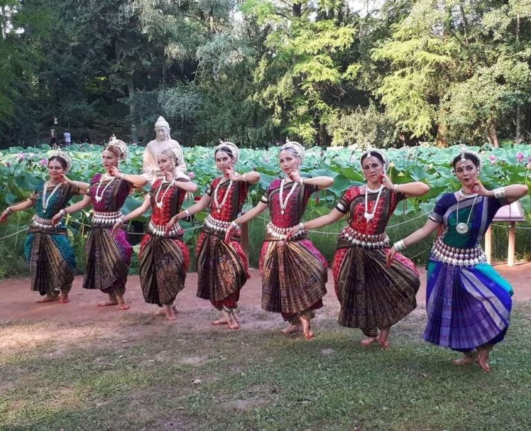 25 Indian Dance Costumes - Rock the stage on fire